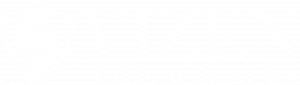 About Us – Vizen Life Sciences
